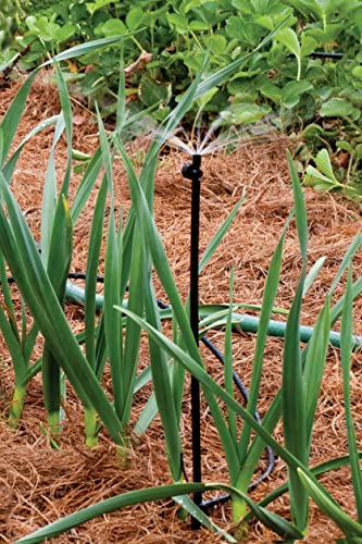 Snapklik.com : Rain Bird MSH2PKS Drip Irrigation 10-32 Threaded Micro ...