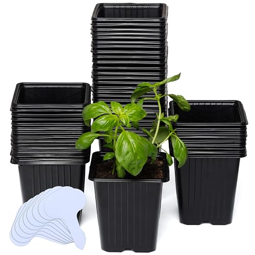 Best Square Nursery Pots for Thriving Plants and Stylish Displays ...
