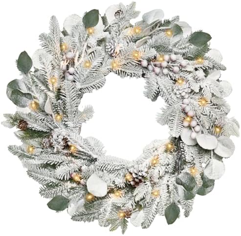 Amazon.com: 22 Inch Artificial Flocked Wreath with Lights, Christmas ...