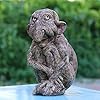 Amazon.com: Gargoyle Sculpture, Gothic Sculpture, Gargoyle Statues ...