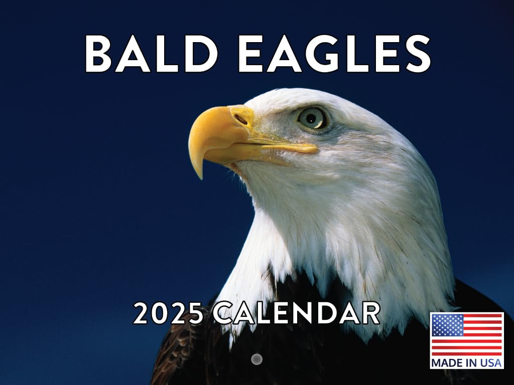 American Bald Eagle Calendar Hooray! The 2022 Calendar Is Available!!!