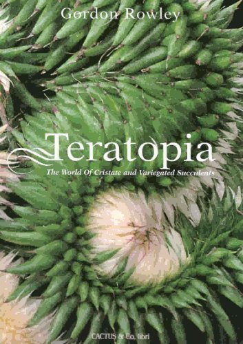 Teratopia: Gordon Rowley: 9788895018089: Amazon.com: Books