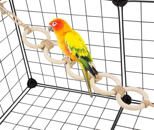 Amazon.com : FlidRunest Bird Conures Ladder, Wood Ring Parrot Hamster ...