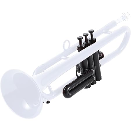 Amazon.com: PAMPET Professional Plastic Bb Trumpet Student Trumpet Set ...