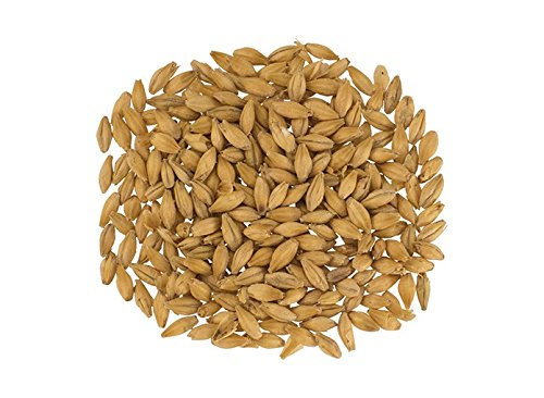 Malt - Gambrinus Malting Pale Ale - 450 g gefräst, 10 : Amazon.de ...