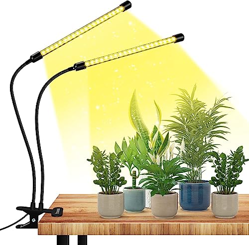 Best Grow Lights African Violets