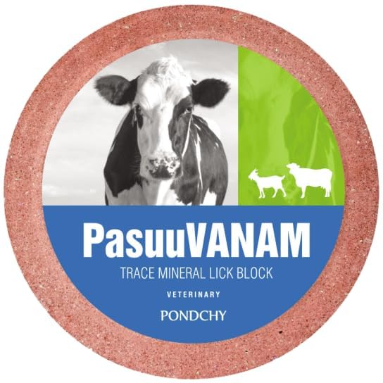 PASUUVANAM Trace Mineral Lick Block (5Kg) For Cattle - Cow, Goat, All ...
