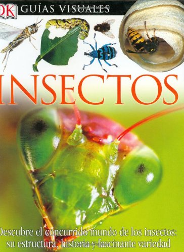 Insectos (DK Eyewitness Books) (Spanish Edition): Mound, Laurence ...