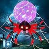 Amazon.com: Joiedomi 8 FT Halloween Inflatable Spider Outdoor ...