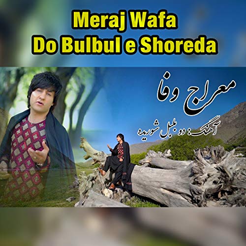Bolbol e Shoreda de Meraj Wafa en Amazon Music Unlimited