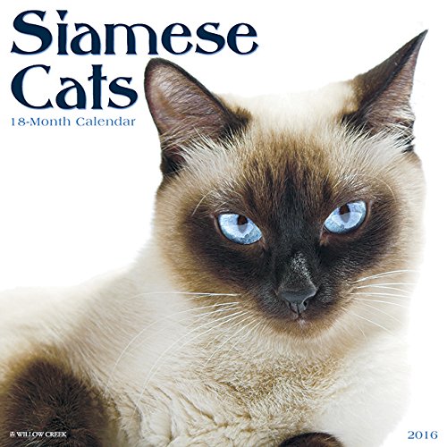 2016 Siamese Cats Wall Calendar: Willow Creek Press: 0709786034147 ...