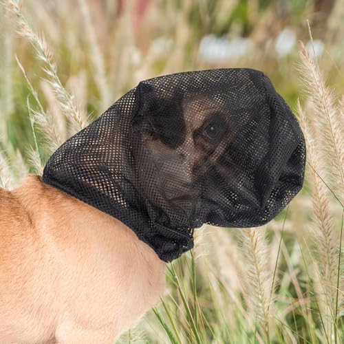 Foxtail Dogs – The 15 best products compared - Wild Explained