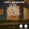 Amazon.com: 6FT Lighted Gypsophila Tree 176 LED Artificial Baby Breath ...