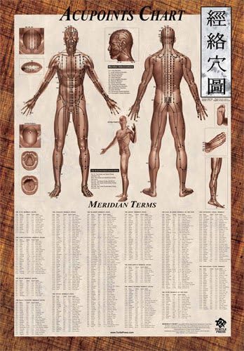 Amazon.com: Soondar Acupoints Poster: Prints: Posters & Prints