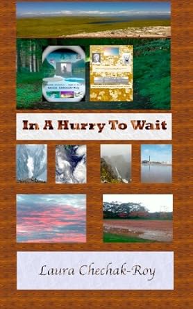 In A Hurry To Wait - Kindle edition by Chechak-Roy, Laura, Roy, Amit ...