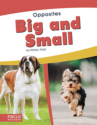 Big and Small (Opposites (Set of 10)) eBook : Jopp, Kelsey: Amazon.ca ...