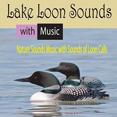 Play Lake Loon Sounds with Music: Nature Sounds Music with Sounds of ...