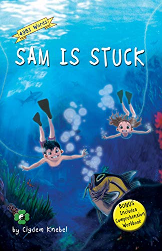 Amazon.com: Sam Is Stuck: Decodable Chapter Book eBook : Knebel, Cigdem ...