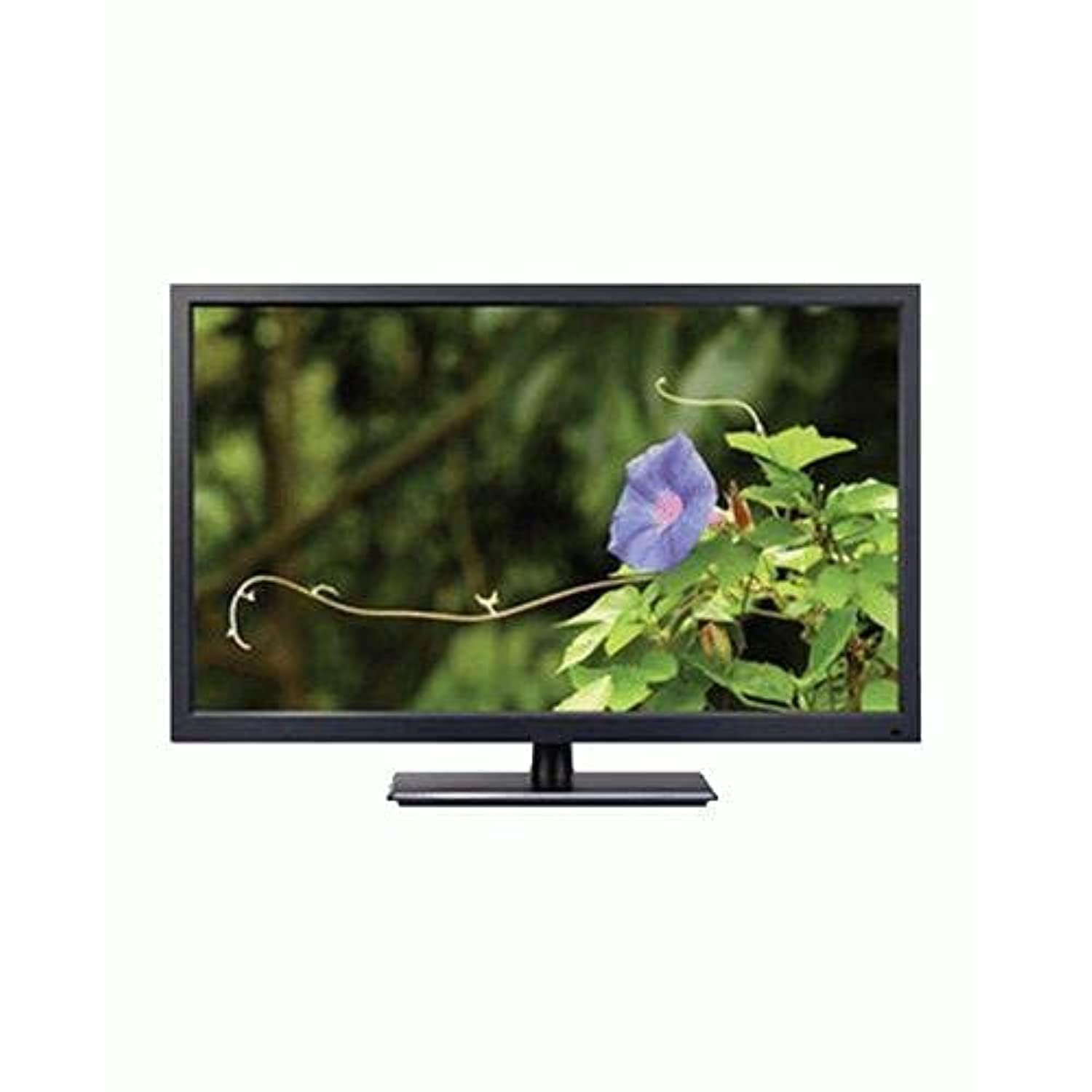 PLUTO 32 Inch LED Standard TV Black - P32L82DV: Buy Online at Best ...