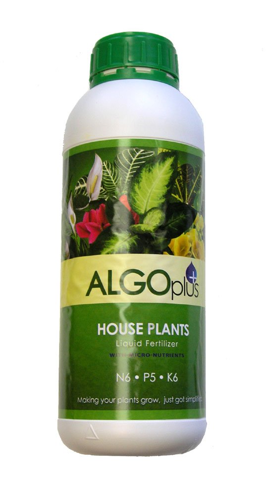Amazon.com : Algoplus Fertilizer Houseplant Formula - Single : Patio ...