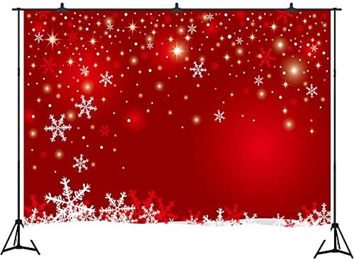 Christmas Backdrops For Photography Funnytree 8x8ft Durable Christmas ...