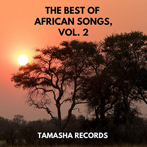 The Best of African Songs, Vol. 2 by Safari Sounds Band on Amazon Music ...