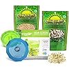 Masontops Bean Screen Sprouts Growing Kit