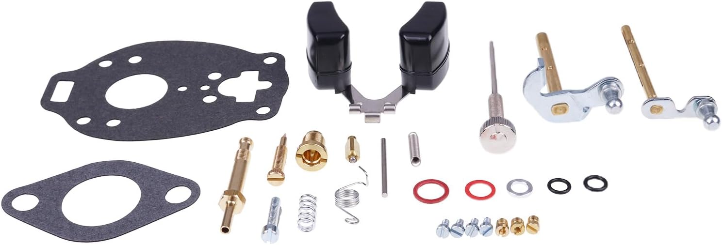 Amazon.com: Dowfane Complete Carburetor Overhaul Major Repair Kit ...