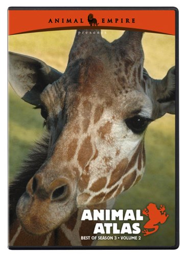 Amazon.com: Animal Atlas: Best of Season 3, Volume II : Animals ...