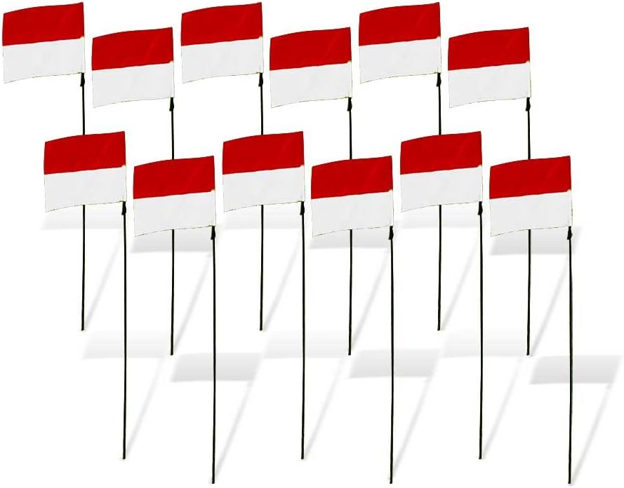 Amazon.com: Premier RC 8 in. FPV Racing Air Flag Markers with 42 in ...
