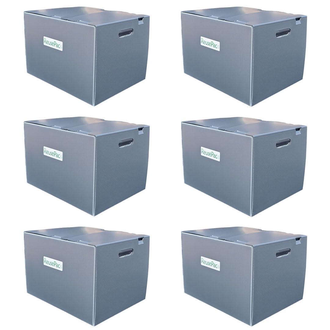 Amazon.com: REUSEPAC Reusable Foldable Box Corrugated PP Lightweight ...