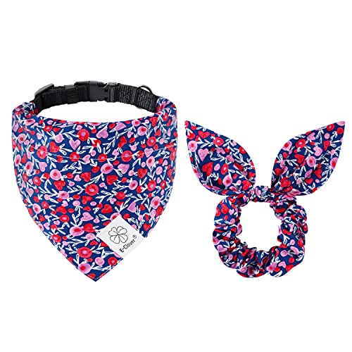 10 Best Dog Bandana Collars with Reviews and Buying Guide - Furry Folly