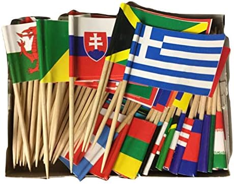Amazon.com: WindStrong Box of 100 Multicolor World Flags Toothpick ...