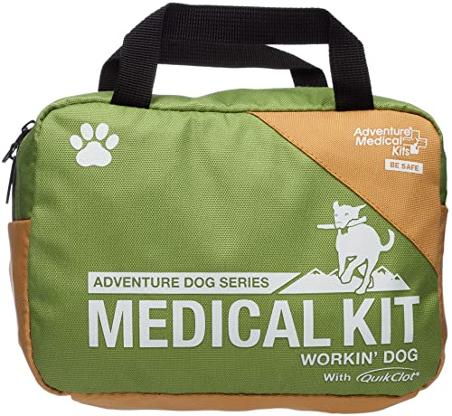 Foster Dog Supplies 101: Your Complete Guide to Getting Started