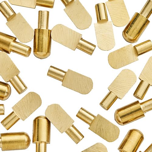 Amazon.com: WidgetCo 5mm Solid Brass Shelf Pins, Shelf Supports ...
