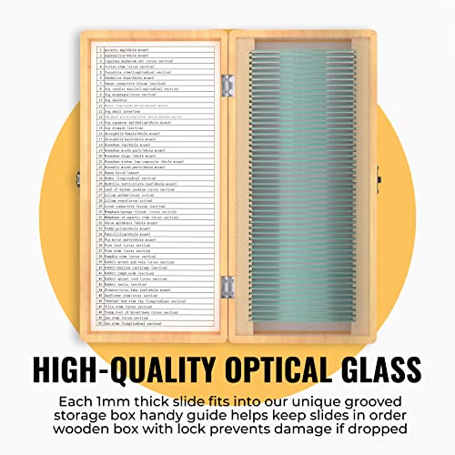 Biological Specimen Storage Wooden Microscope Slide Storage Box With ...