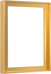 Amazon.com: Pixy Canvas Floater Frame 14x18 for 1-1/2 (1.5) inch Deep ...