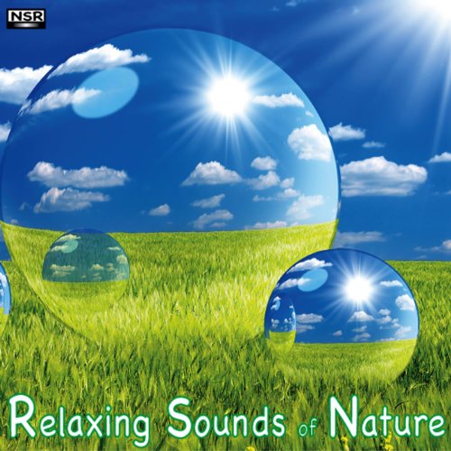 Amazon.com: Relaxing Sounds of Nature : Relaxing Sounds of Nature ...