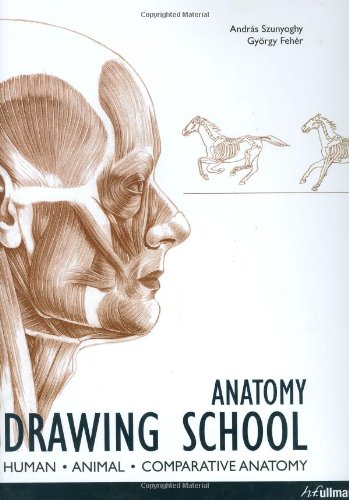 Anatomy Drawing School: Human, Animal, Comparative Anatomy: Amazon.co ...