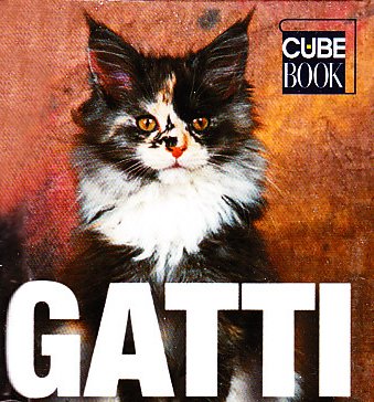 Amazon.com: Gatti: 9788854005631: unknown author: Books