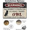 Amazon.com: Vintage Owl Metal Sign Warning This Property is Protected ...