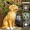 Amazon.com : Garden Dog Statues Outdoor Decor, Solar Lights Outdoor ...
