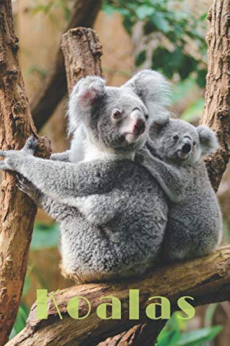 Koalas: Animal Notebook for Kids and Adults, Journal, Notes, Diary ...