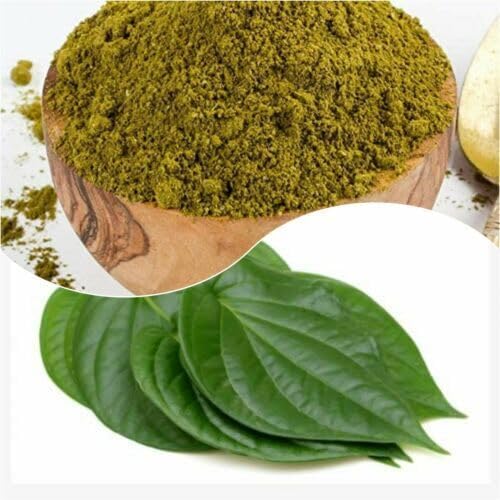 Amazon.com : 3.5Oz|100g | betel leaf powder | paan powder : Health ...