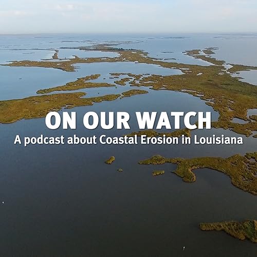 Amazon.com: On Our Watch : Very Productive Pictures: Audible Books ...