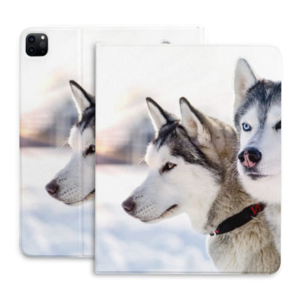 Are Siberian Husky Protective