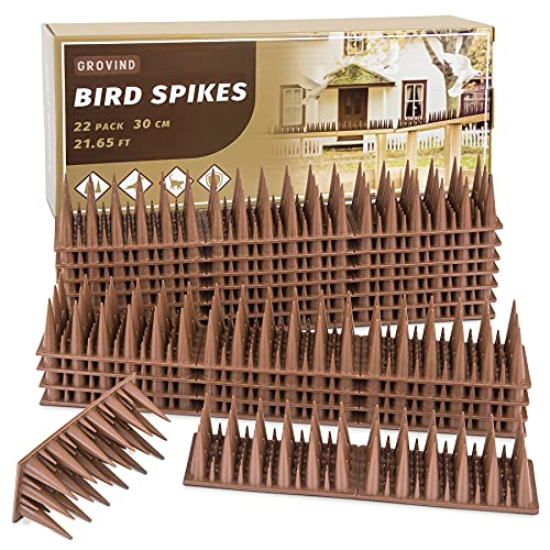 Amazon.com: Grovind 21.6 FT Bird Spikes for Small Birds, Cats, Raccoons ...
