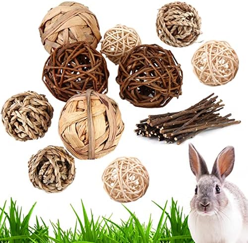 Rosewood Naturals Trio of Fun Balls, Toys for Small Animals : Amazon.co ...