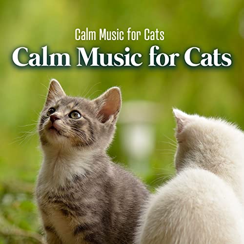 Écouter Calm Music for Cats par Calm Music for Cats sur Amazon Music ...