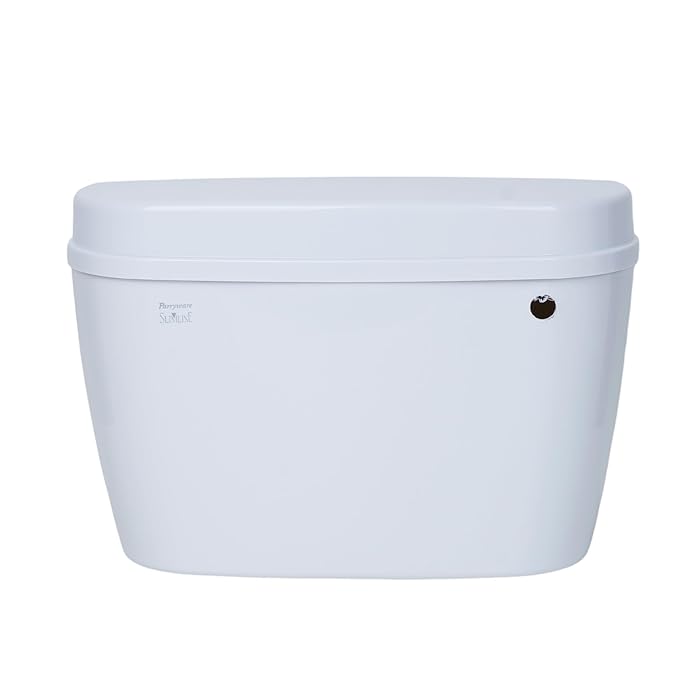 PARRYWARE UTSAV Series Polymer/PVC Single Flush System Exposed Cistern ...